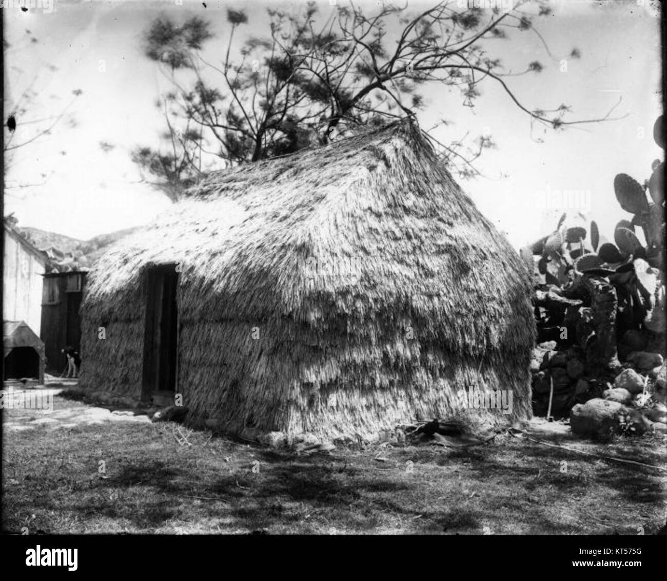 A photograph by Brother Bertram capturing a Native Grass House ...