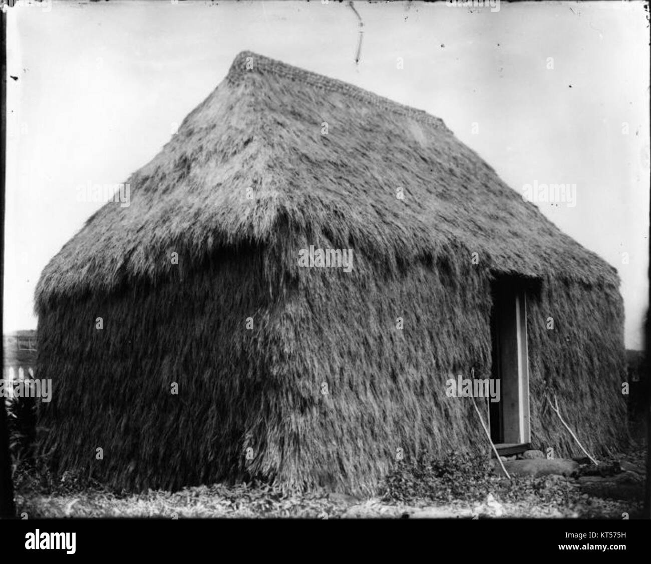 This photograph by Brother Bertram captures a Native Grass House, a ...