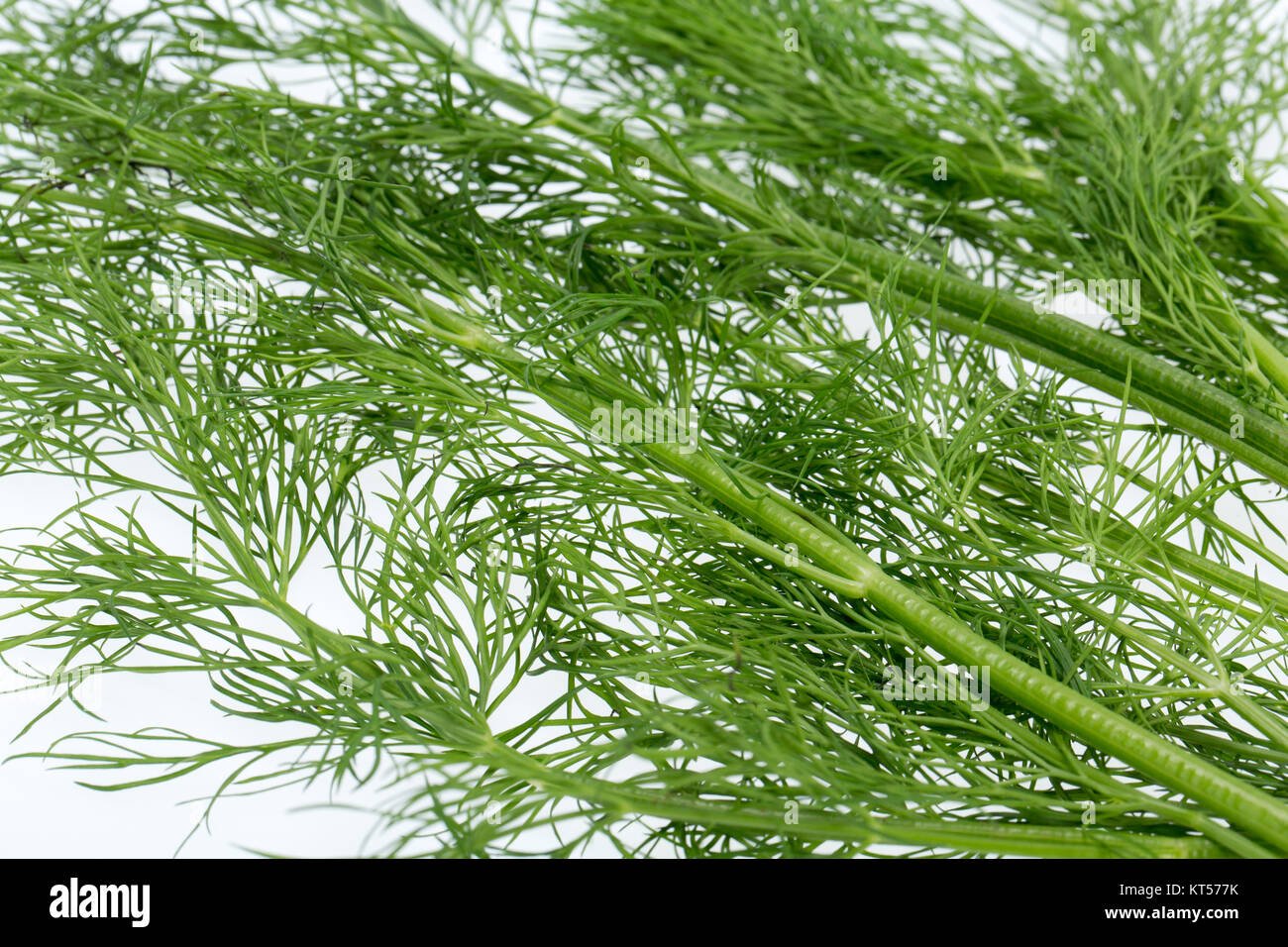 Green dill isolated on white background Stock Photo - Alamy