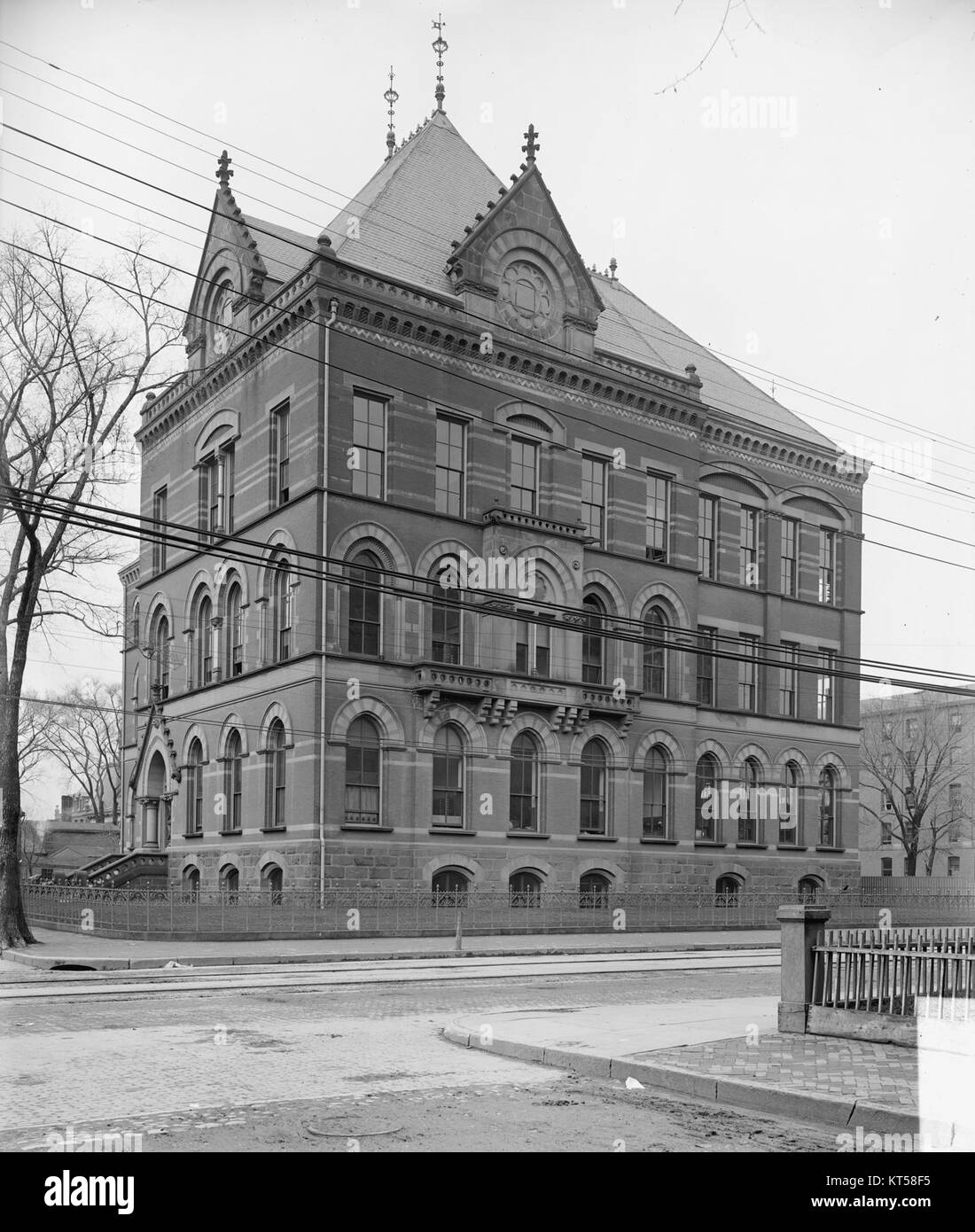 Natural history displays Black and White Stock Photos & Images - Alamy