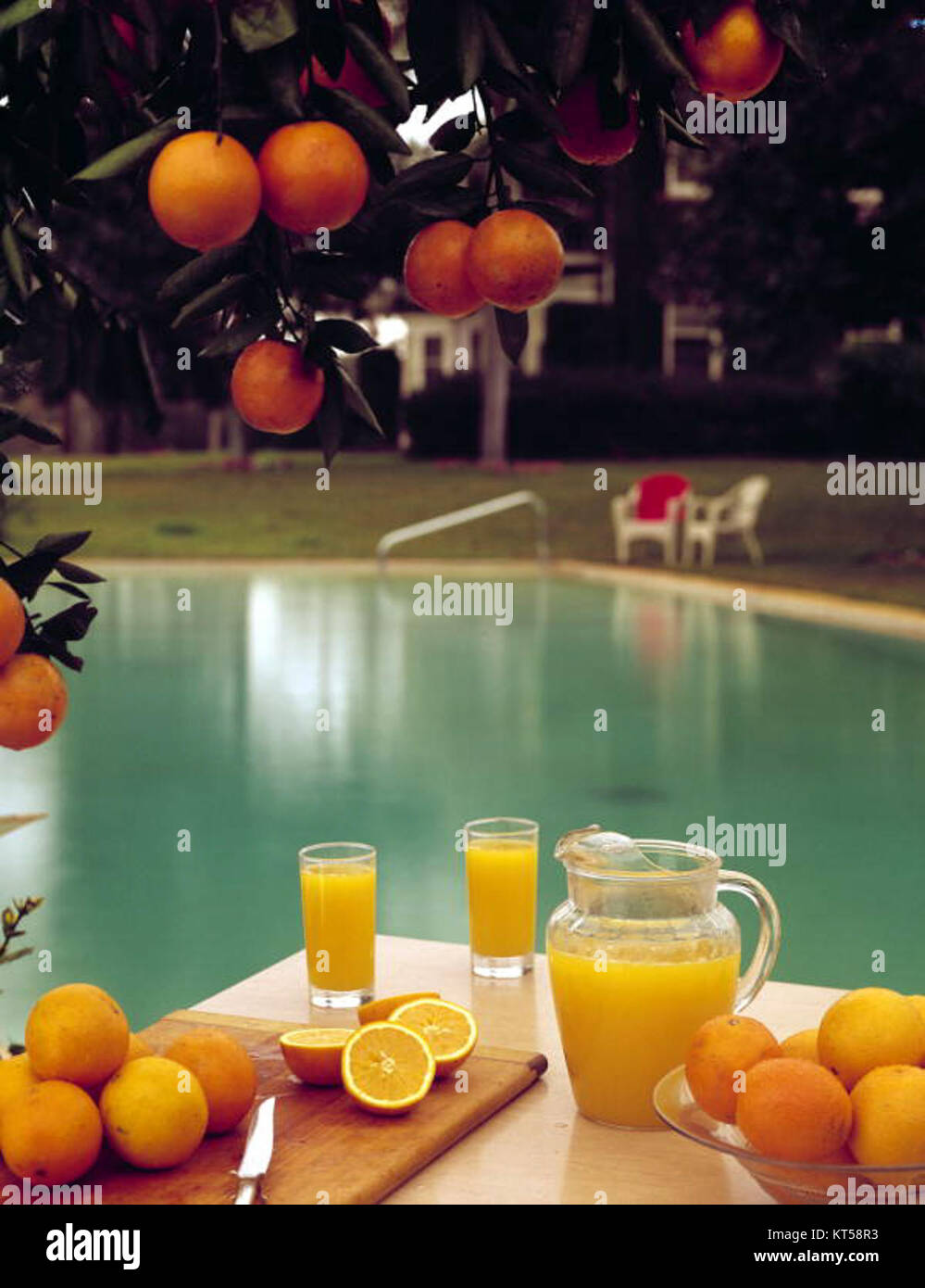 Orange juice-State beverage of Florida Stock Photo - Alamy