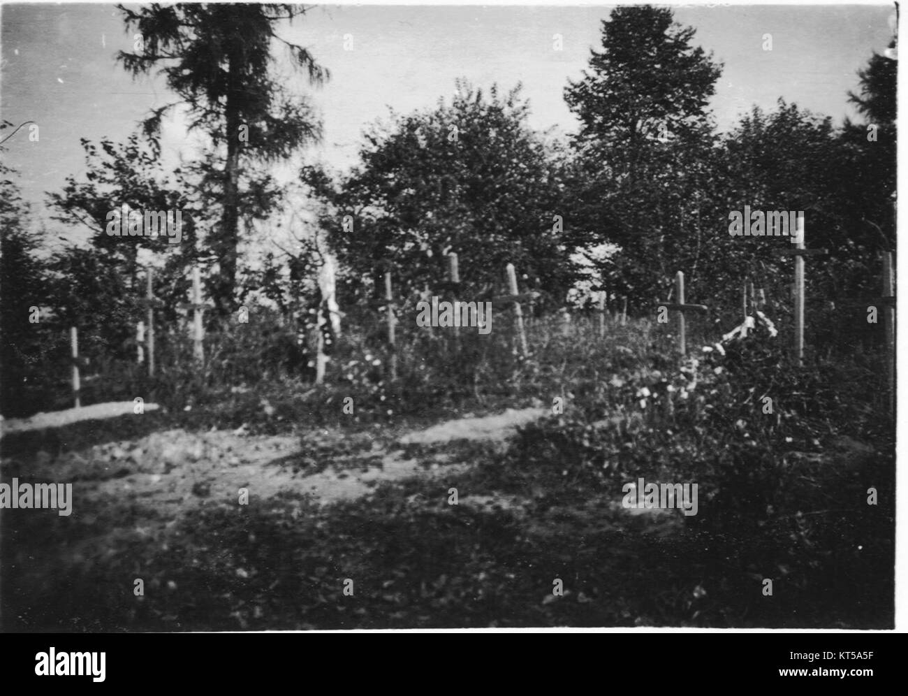 Adam Fischer's war legacy includes significant contributions to the ...