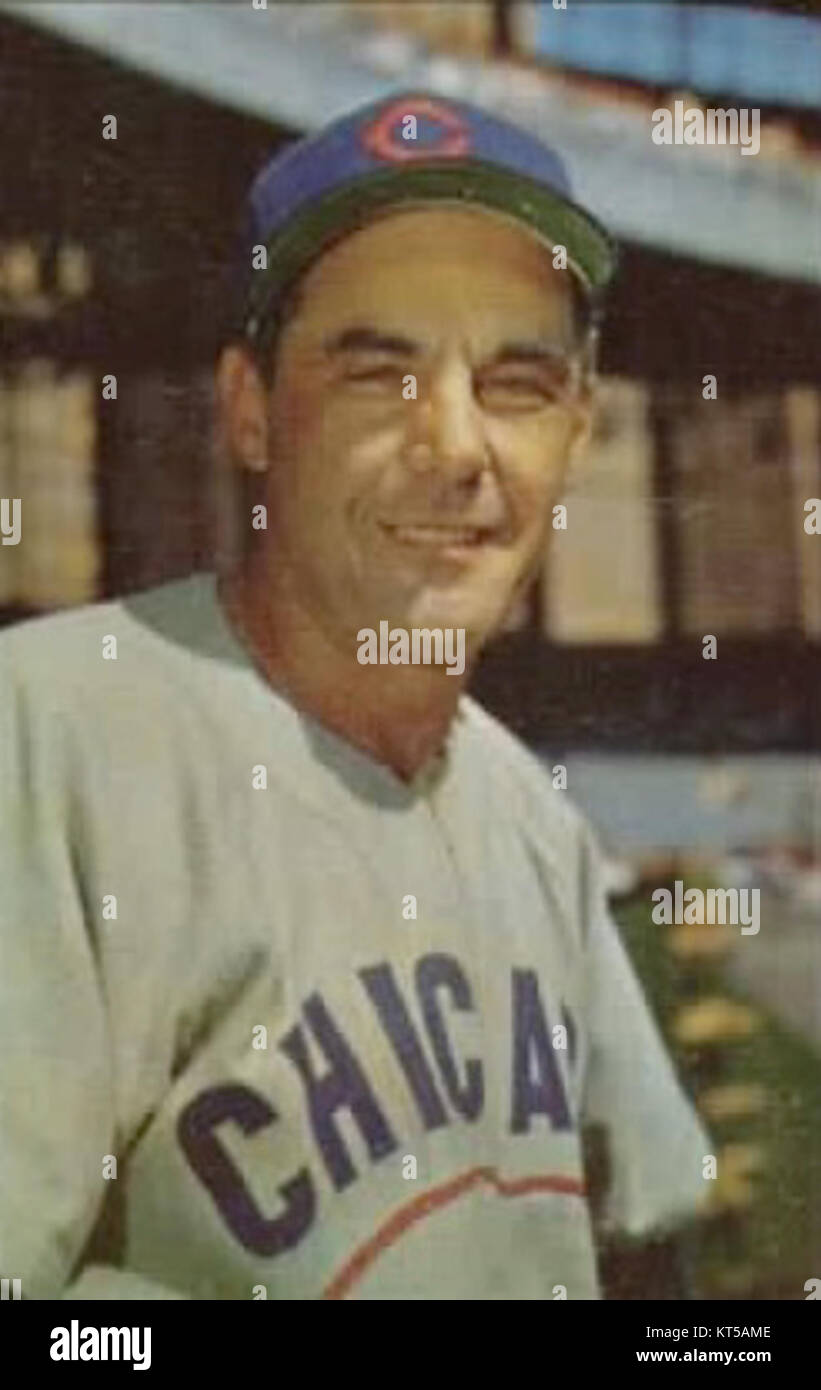 Phil Cavarretta 1953 Stock Photo - Alamy