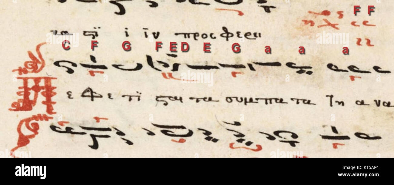 Phthora nana hi-res stock photography and images - Alamy