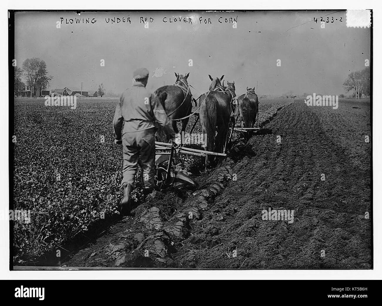 A historical photograph depicting the agricultural practice of plowing ...