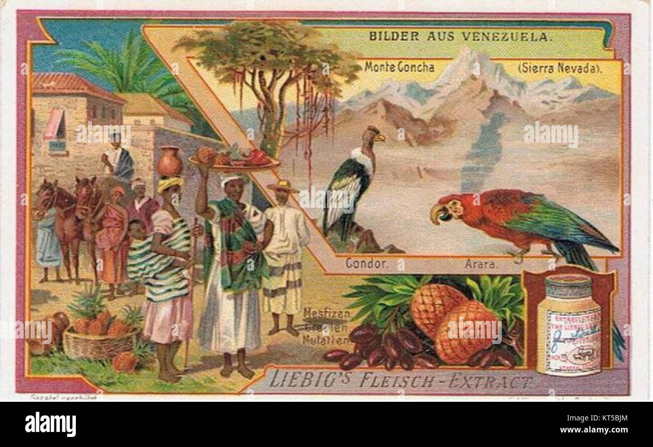 This 1910 postal advertisement for Liebig's Flesch Extract highlights ...