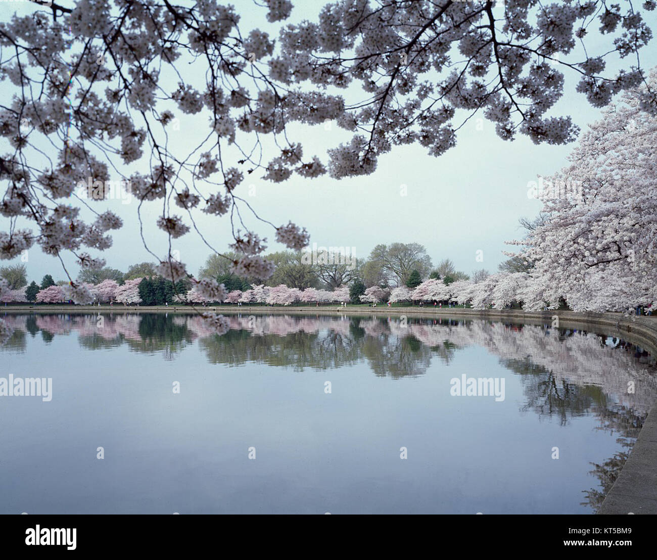 A photograph of the Potomac River Tidal Basin in Washington, D.C ...