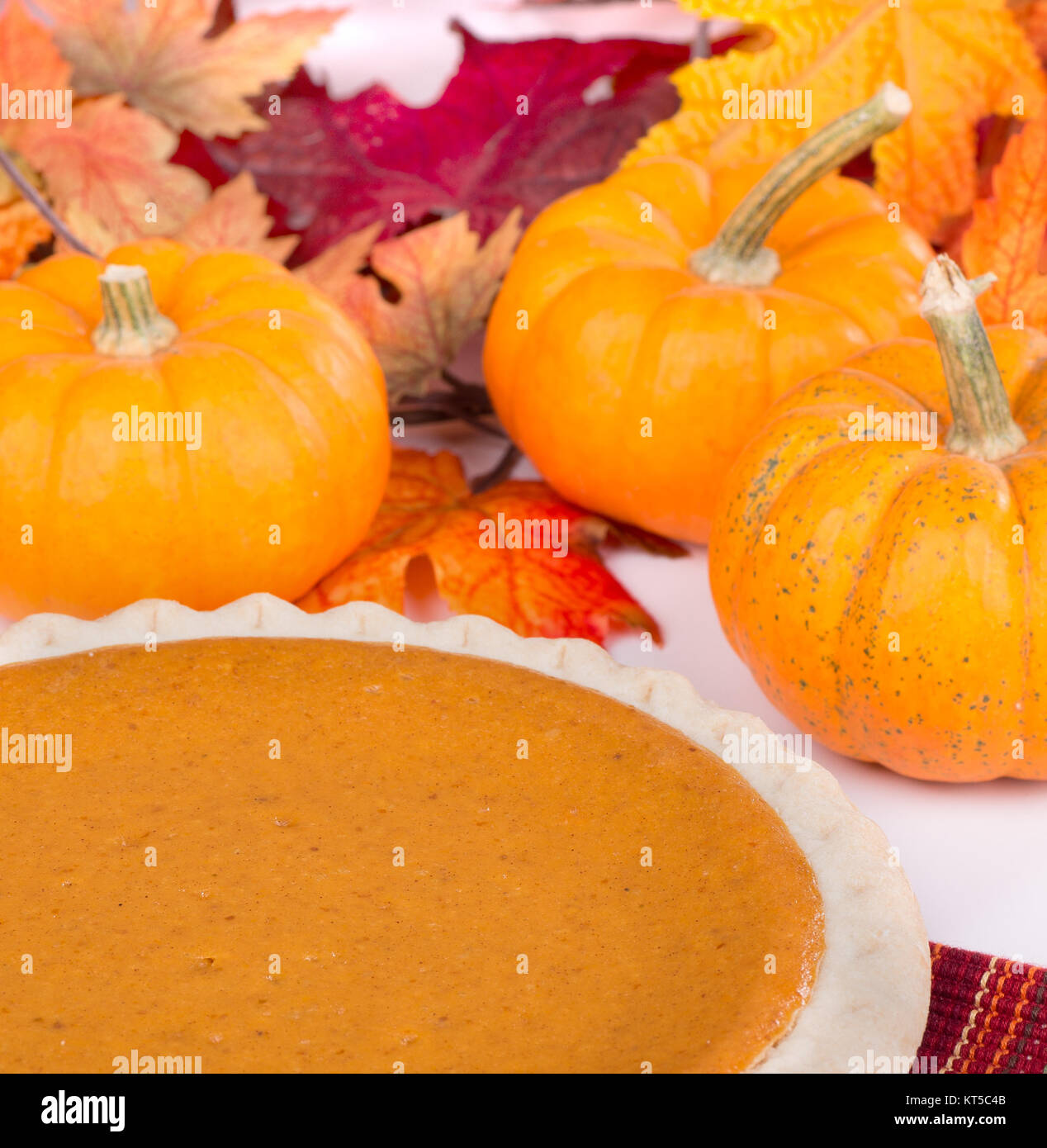 Pumpkin pie with pumpkins and leaves in background Stock Photo - Alamy