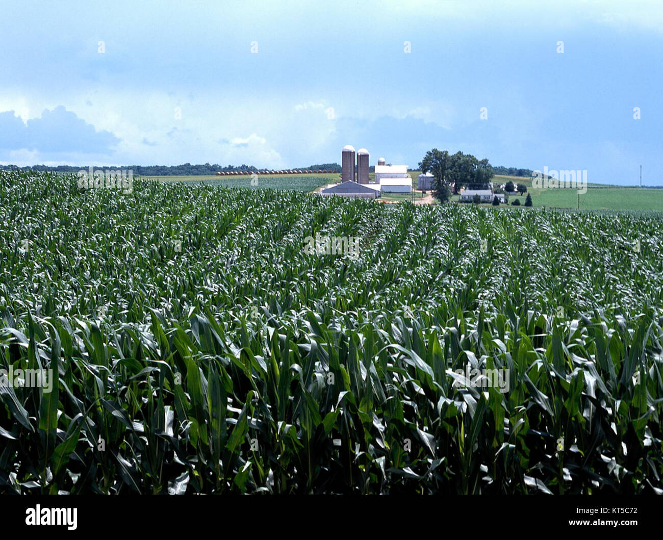 Prosperous history hi-res stock photography and images - Alamy