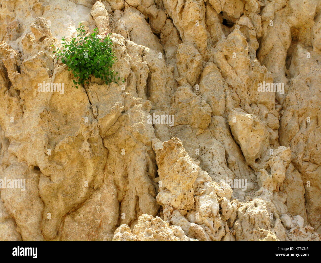 Omani cliffs hi-res stock photography and images - Alamy