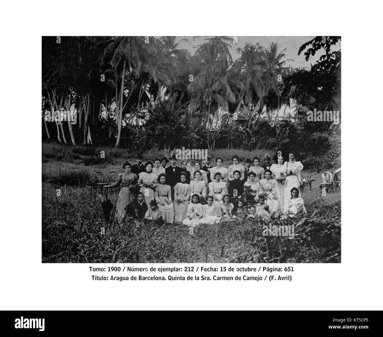 Camejo hi-res stock photography and images - Alamy