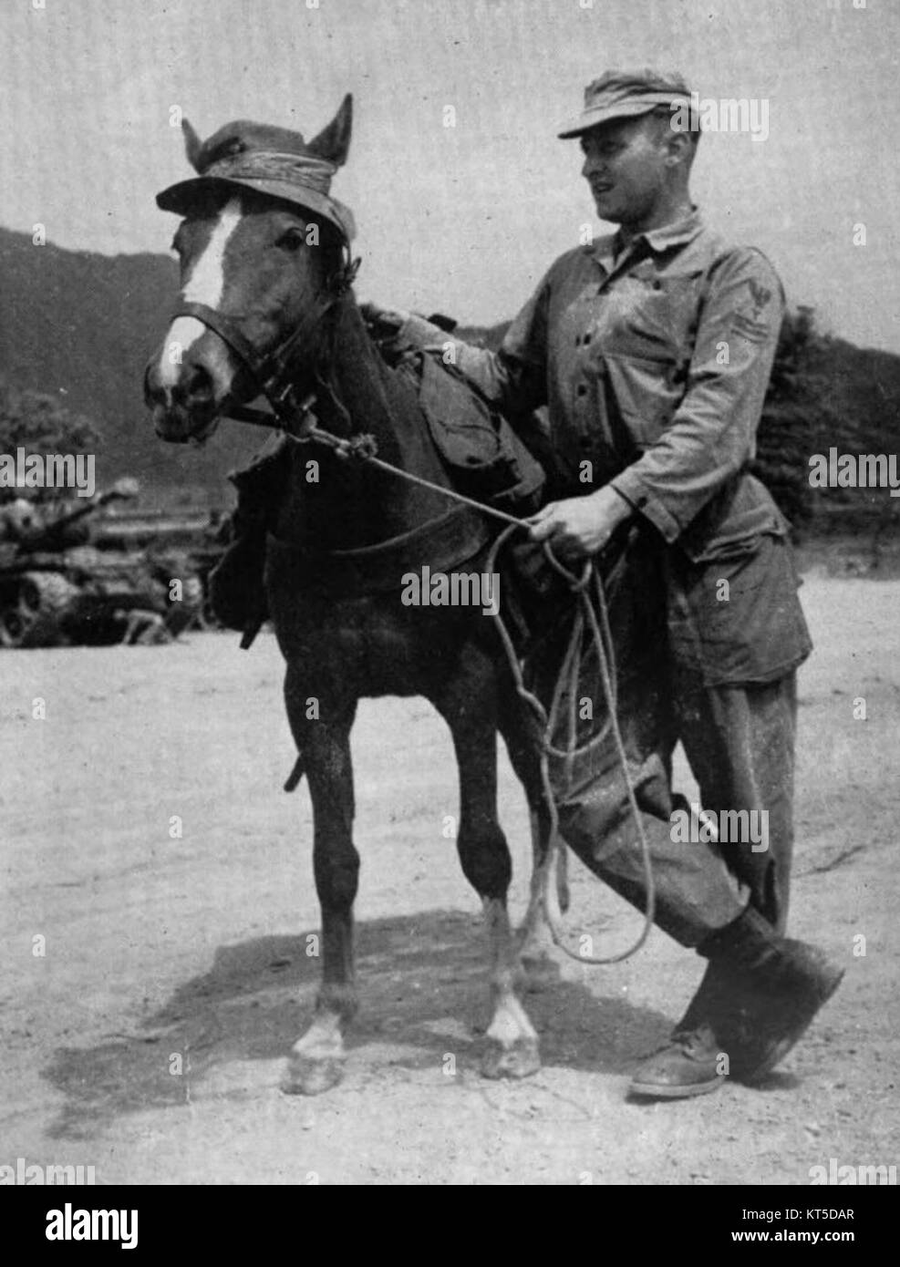 This photograph captures the iconic moment of the film 'Reckless ...