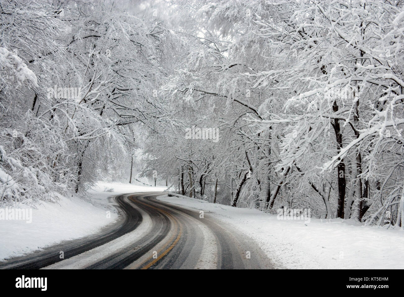 Rock Creek Park in Washington, D.C. is a large urban park offering ...