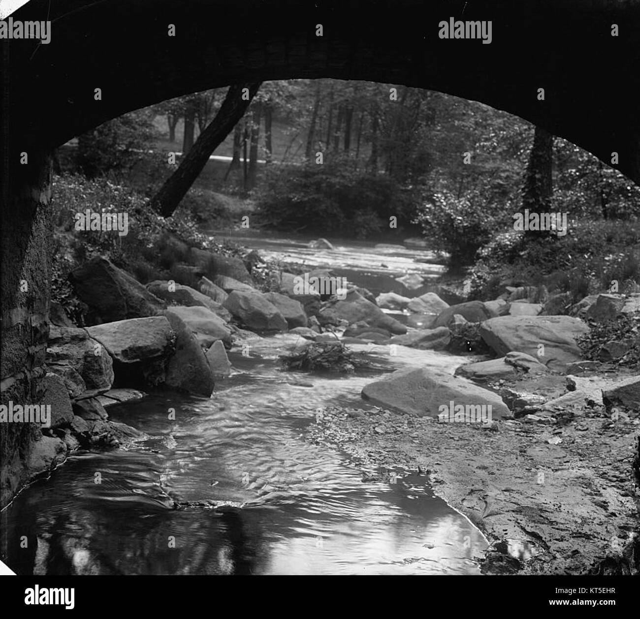 The streambed of Rock Creek Park, located in Washington D.C., forms ...