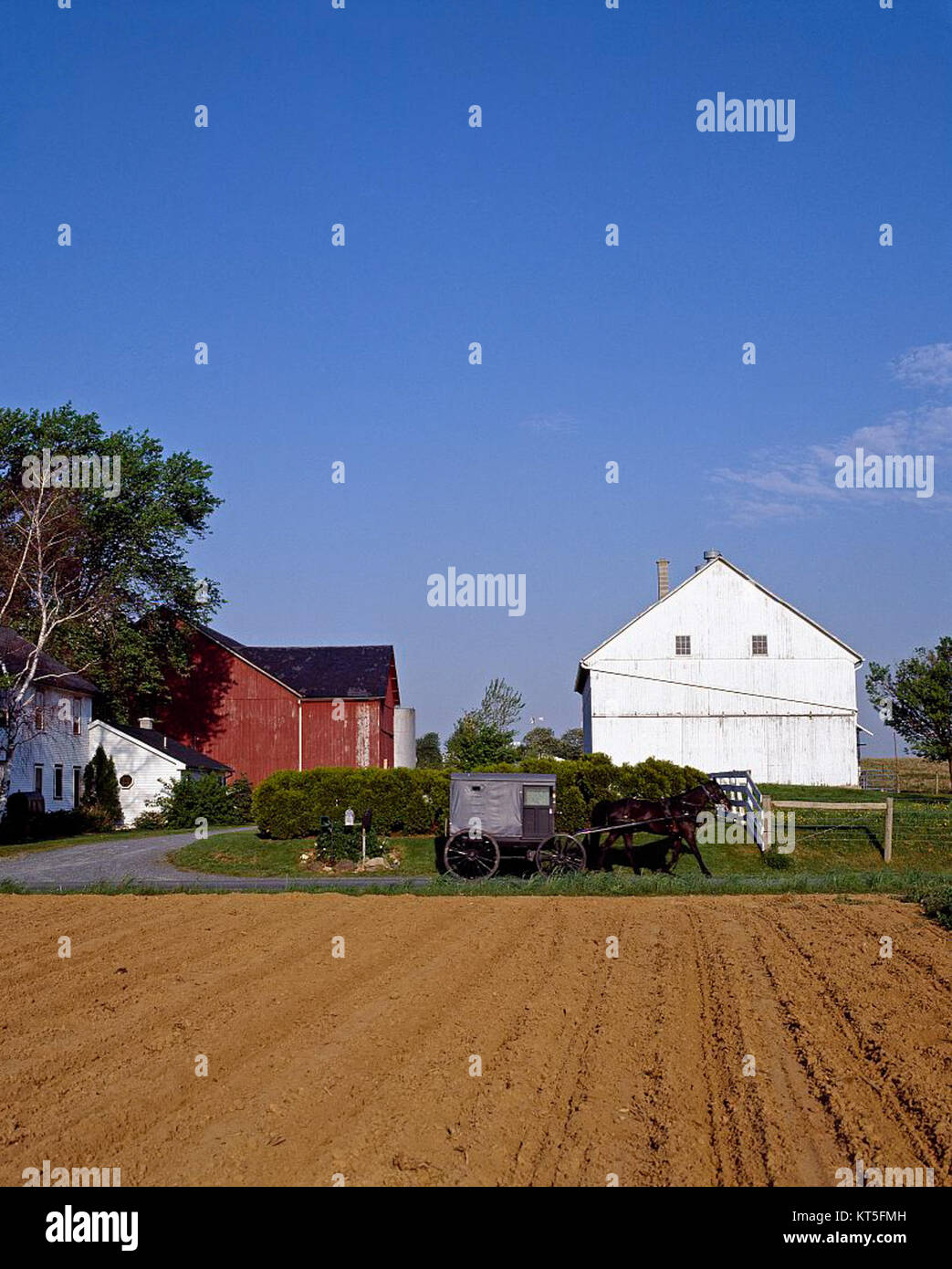 This photograph from 1945 shows rural farm barns, illustrating ...