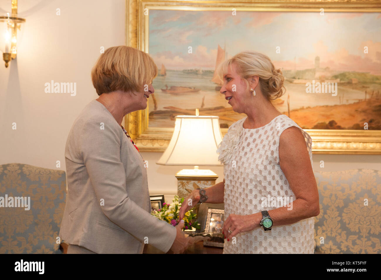 Ann Scott TLH-20 refers to a specific model or product associated with ...