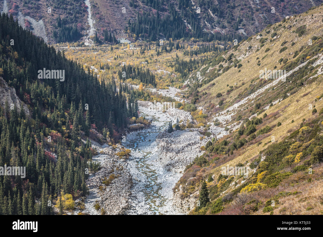 The panorama of mountain landscape of Ala-Archa gorge in the summer's ...