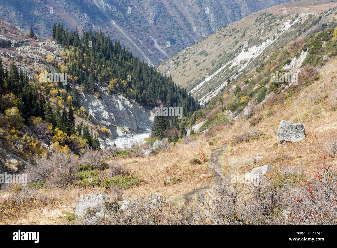 The panorama of mountain landscape of Ala-Archa gorge in the summer's ...