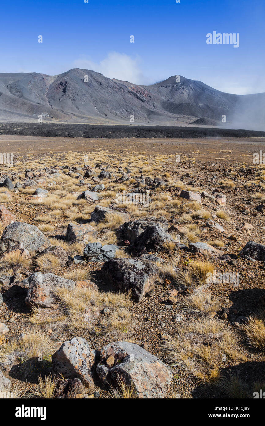 Ngauruhoe volcano (2291mt), Tongariro national park, North island, New ...