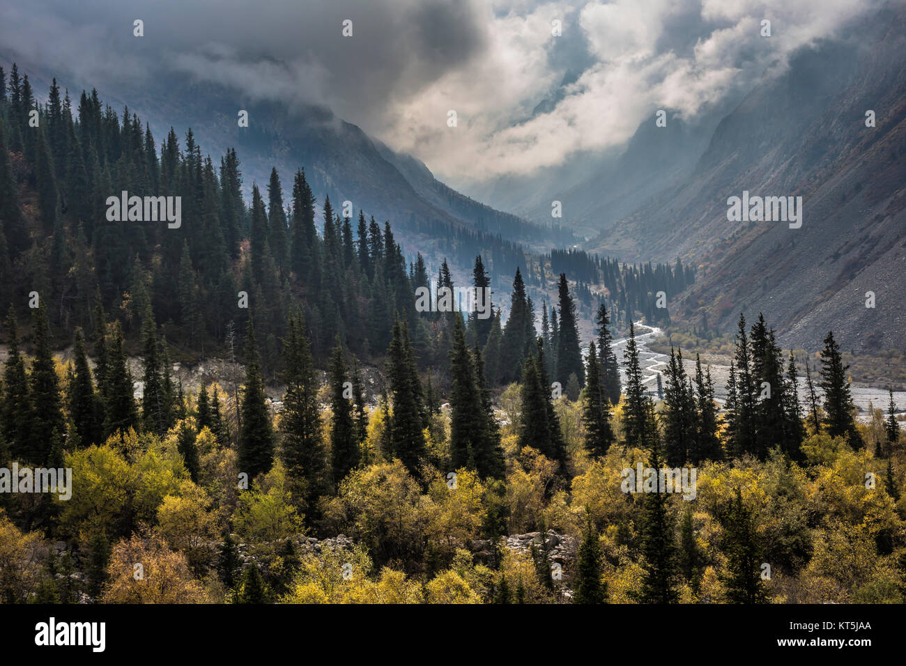 The panorama of mountain landscape of Ala-Archa gorge in the summer's ...