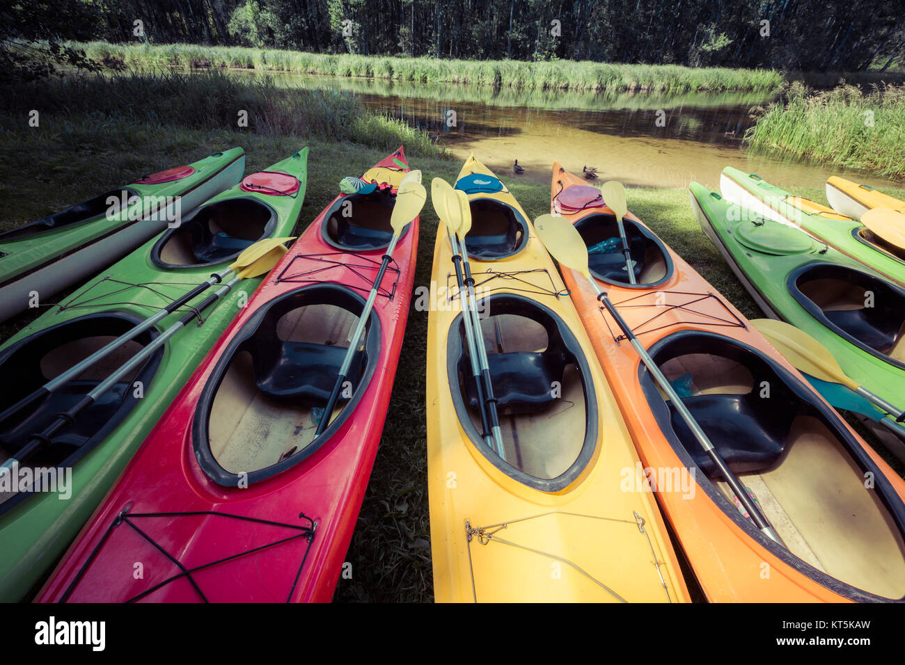 Colorful kayaks moored on lakeshore Stock Photo - Alamy