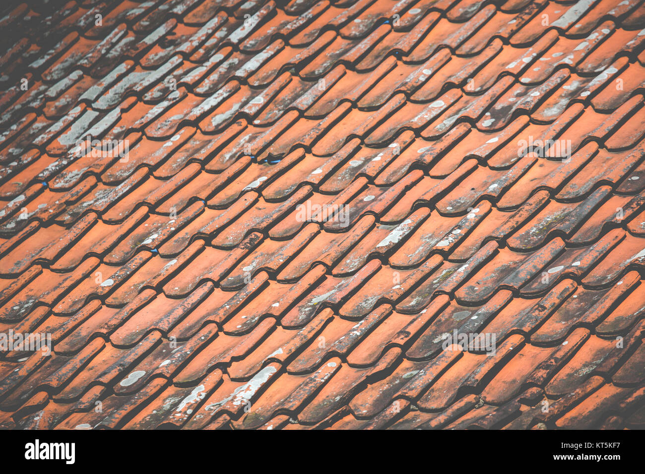 Close-up of roof tiles Stock Photo - Alamy