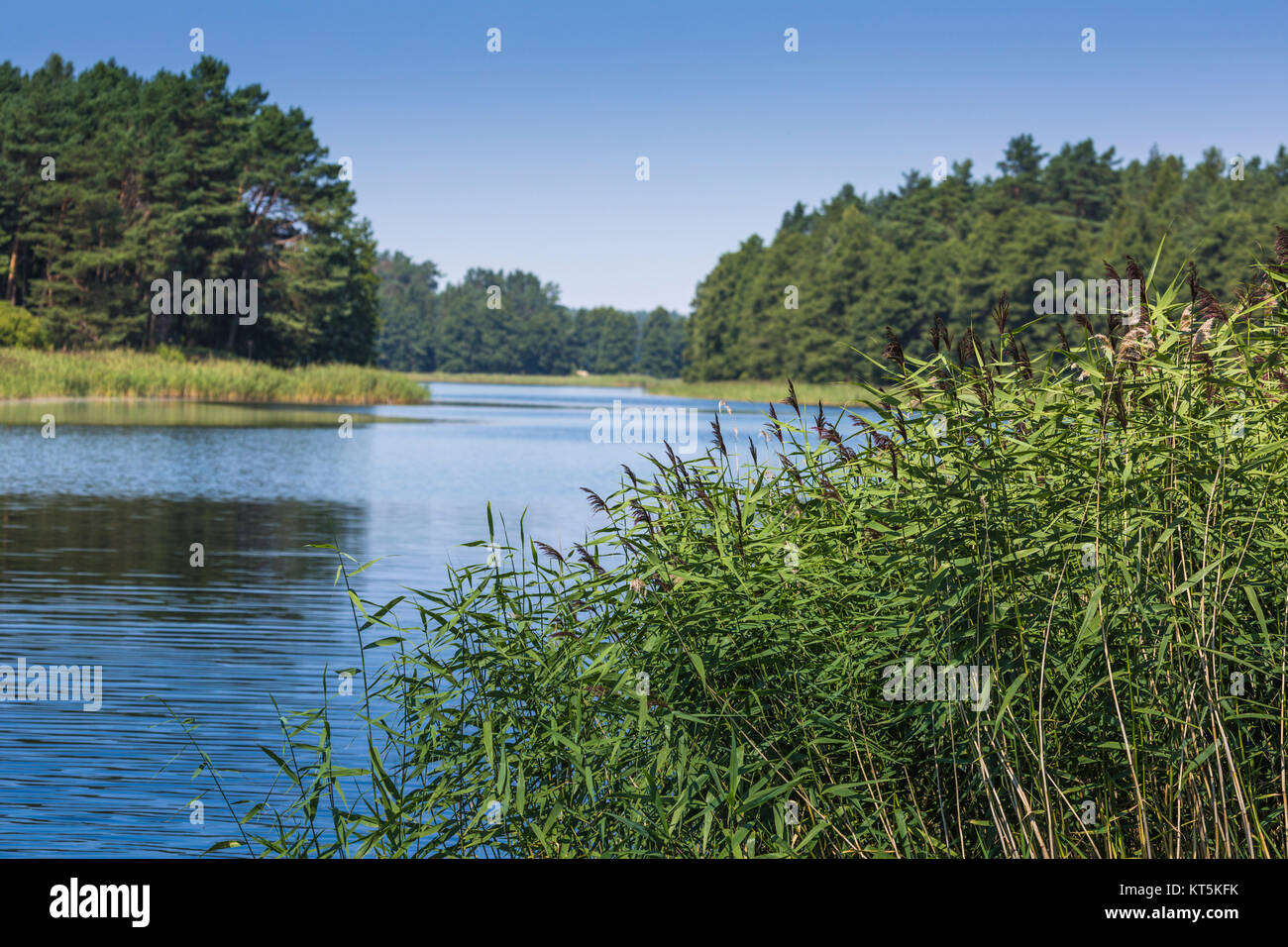 Wydminy lake on Masuria in Poland Stock Photo - Alamy