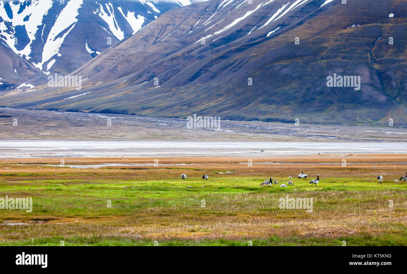 Beautiful scenic view of Spitsbergen (Svalbard island), Norway Stock ...