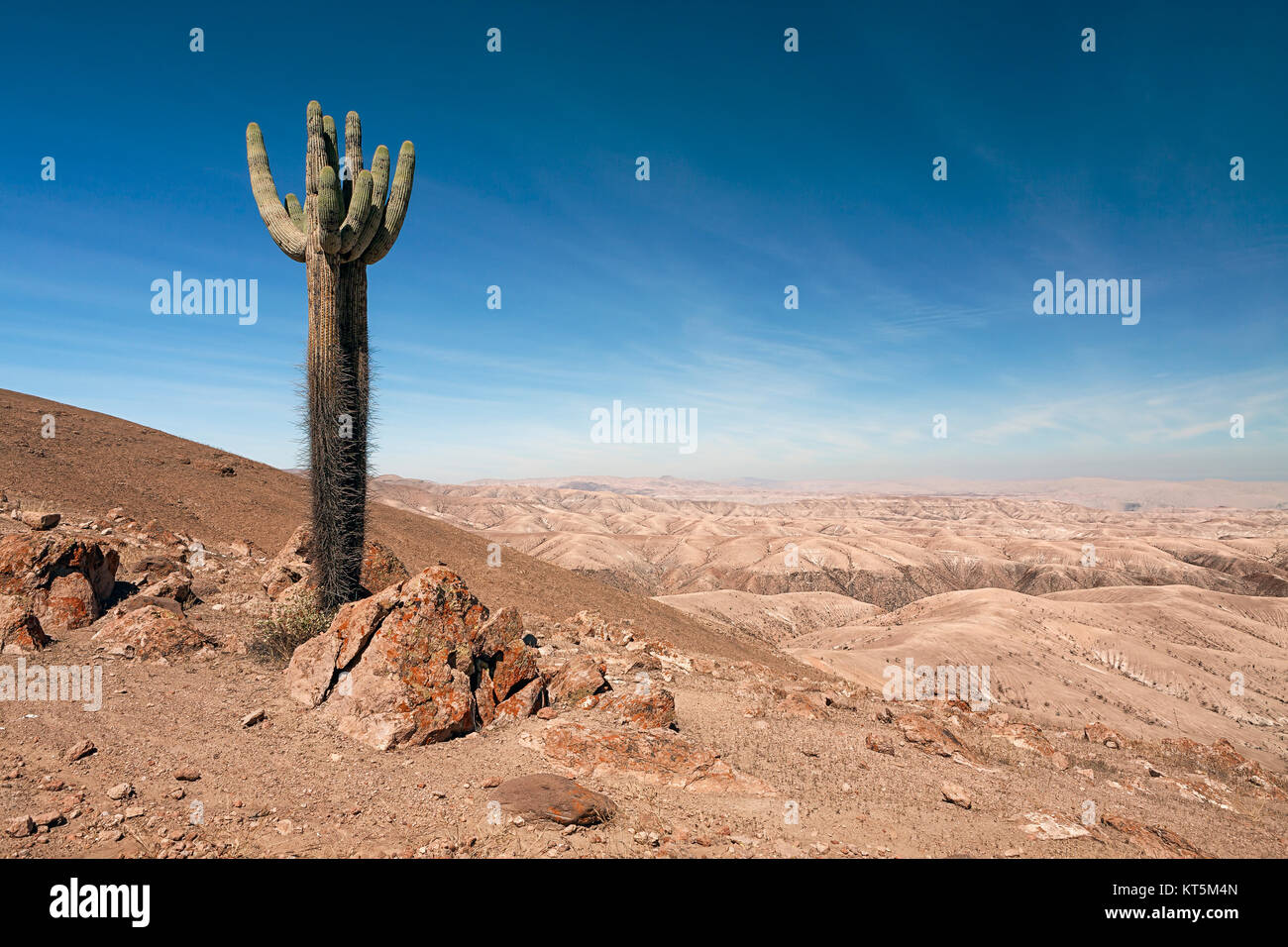 Pampa Galeras, Nazca, Peru Stock Photo - Alamy
