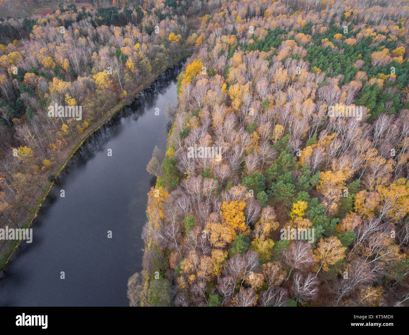 Aerial view of the forrest with different color trees. Taken during the ...