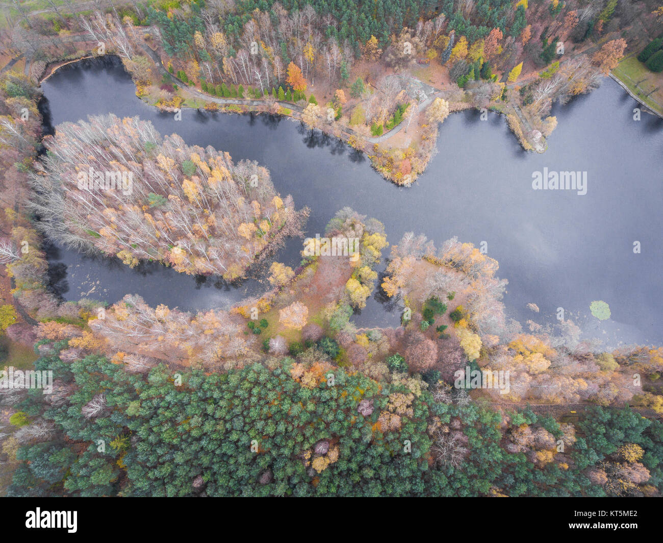 Aerial view of the forrest with different color trees. Taken during the ...