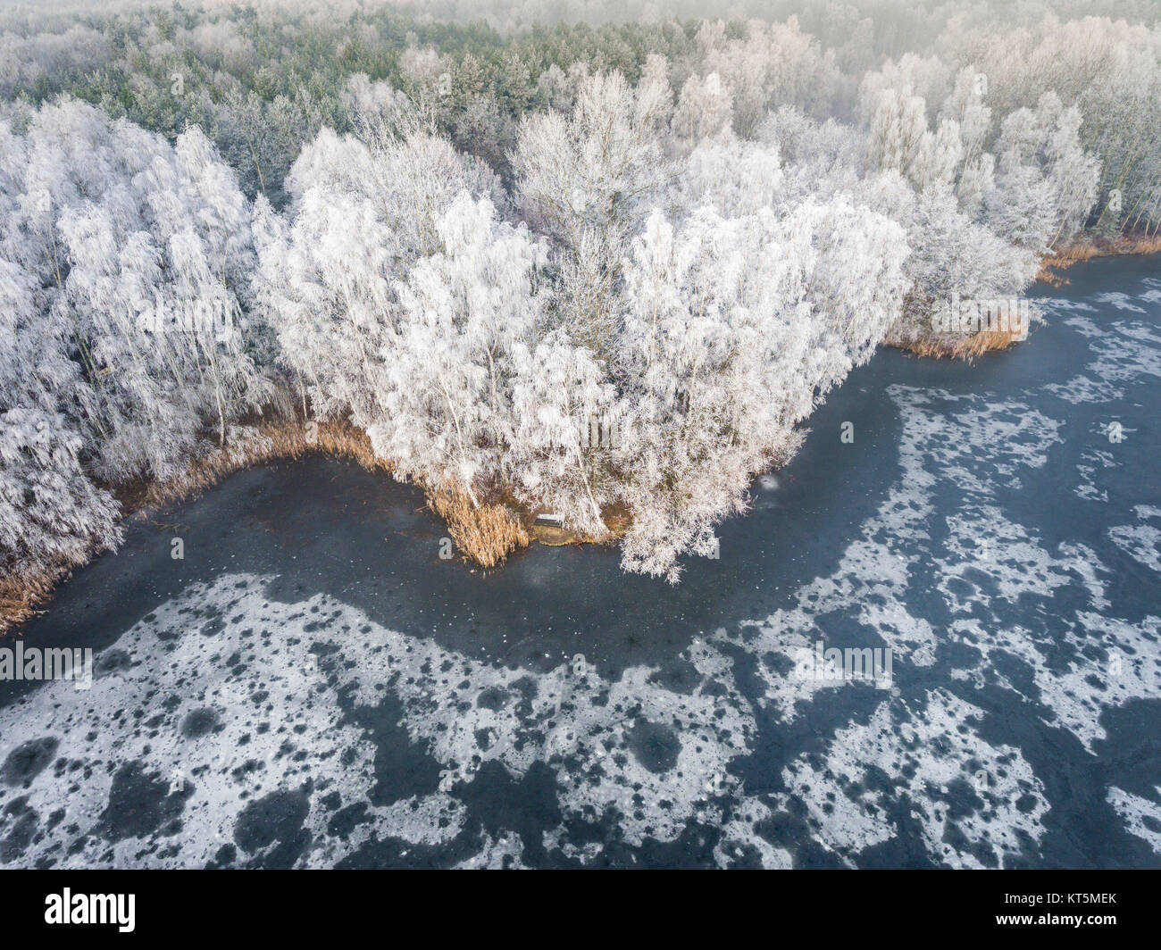 Aerial view of the winter background with a snow-covered forest and ...