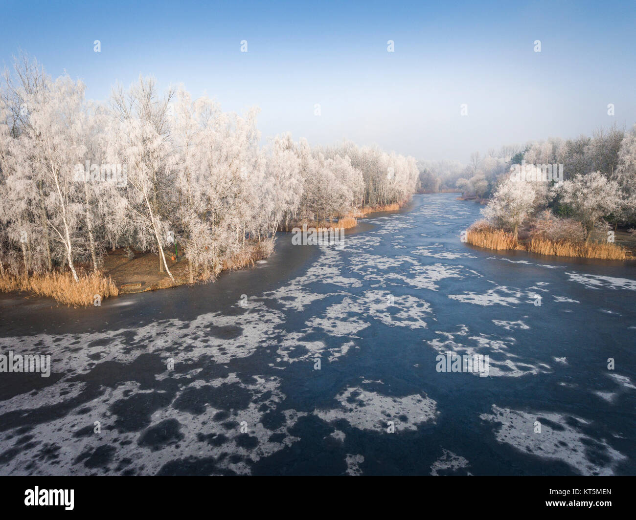 Aerial top view pines winter hi-res stock photography and images - Alamy