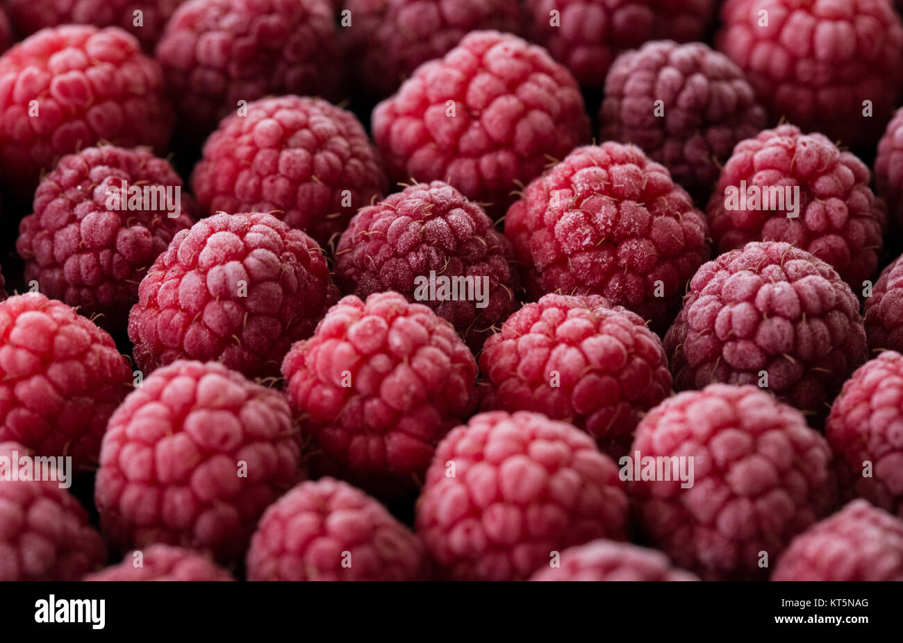frozen rasberry on black background. fruit background Stock Photo - Alamy