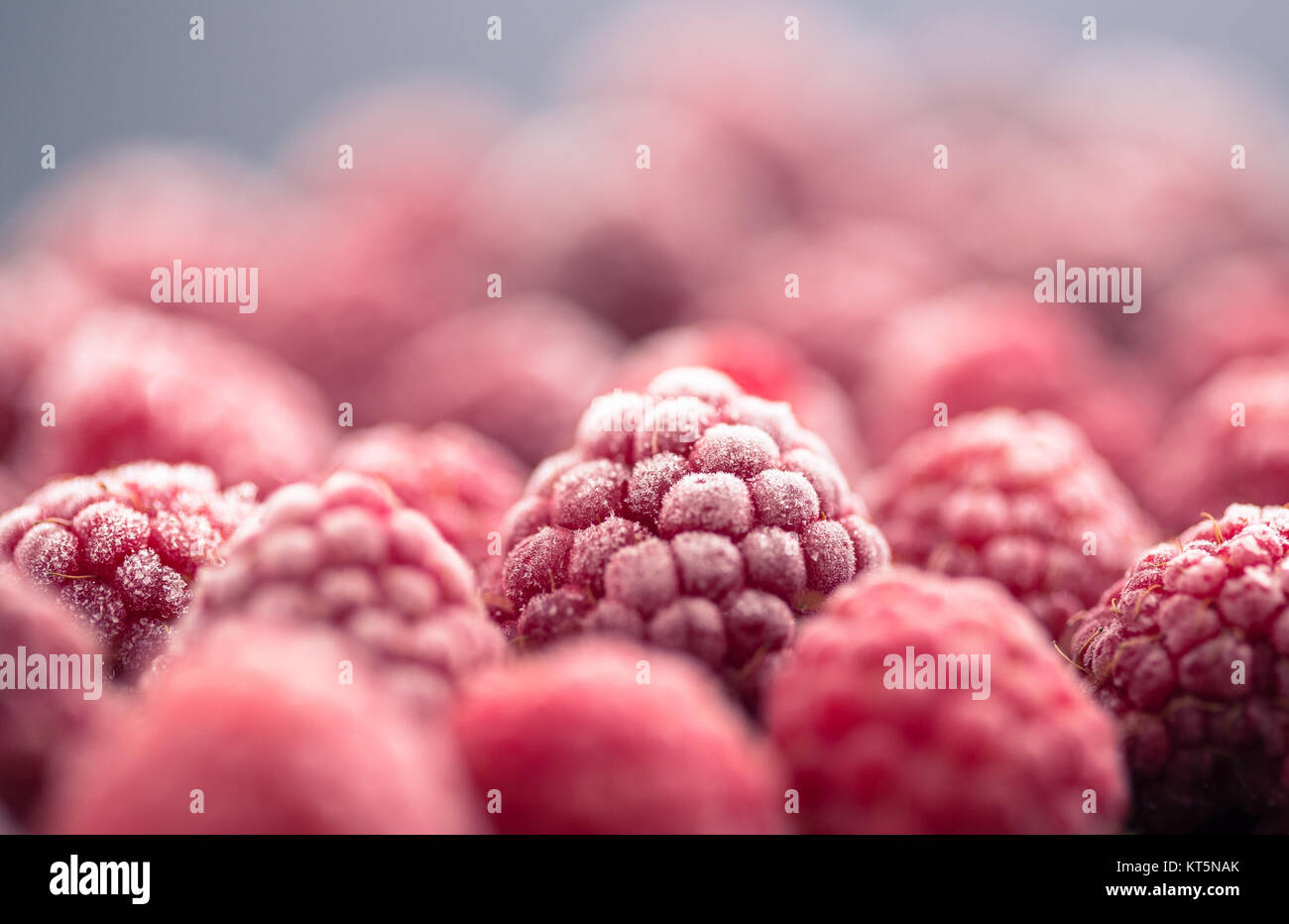 frozen rasberry on black background. fruit background Stock Photo - Alamy