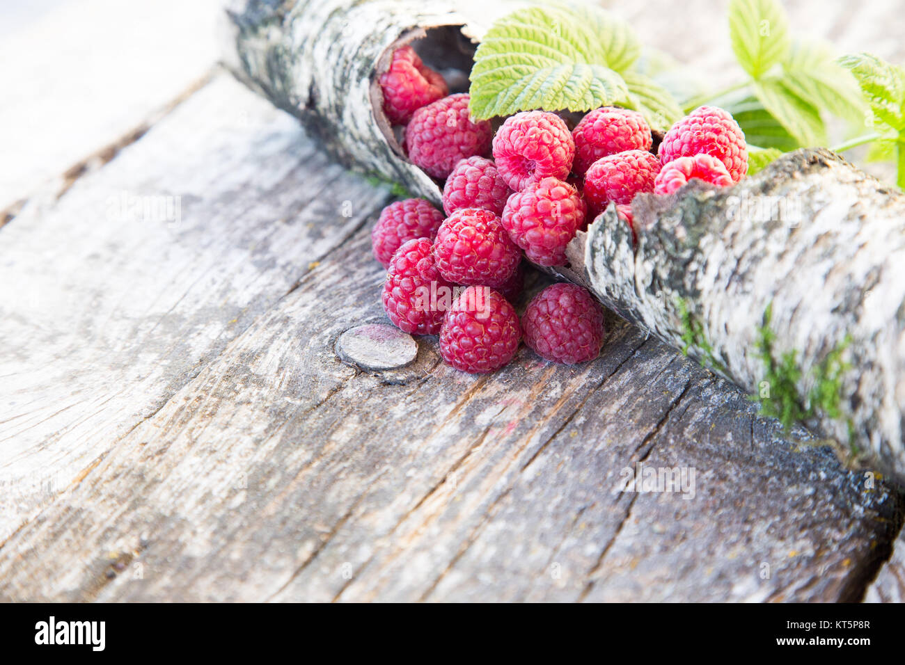 Raspberry on bark. Selective focus Stock Photo - Alamy