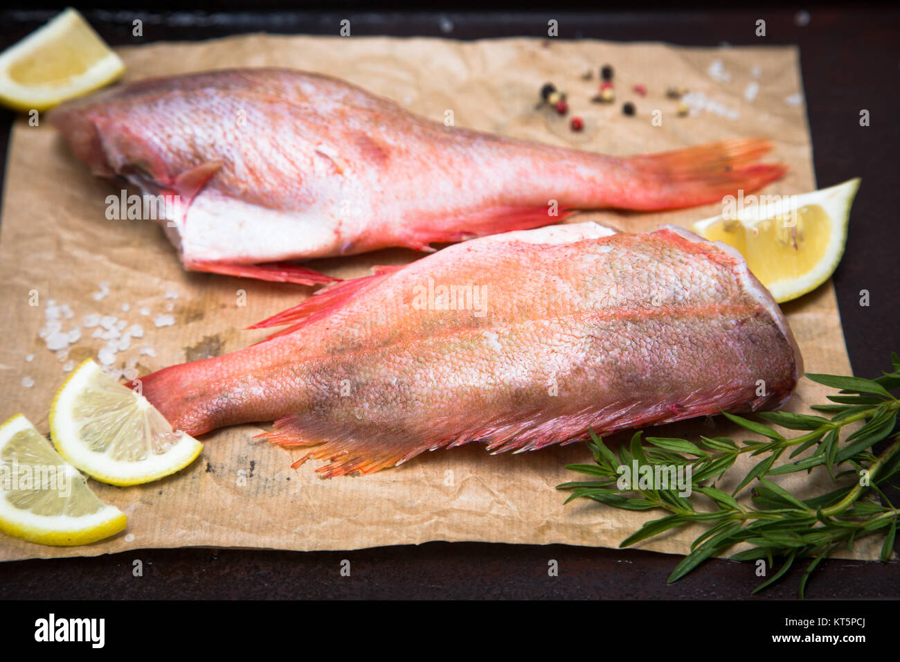Sebastes norvegicus hi-res stock photography and images - Alamy