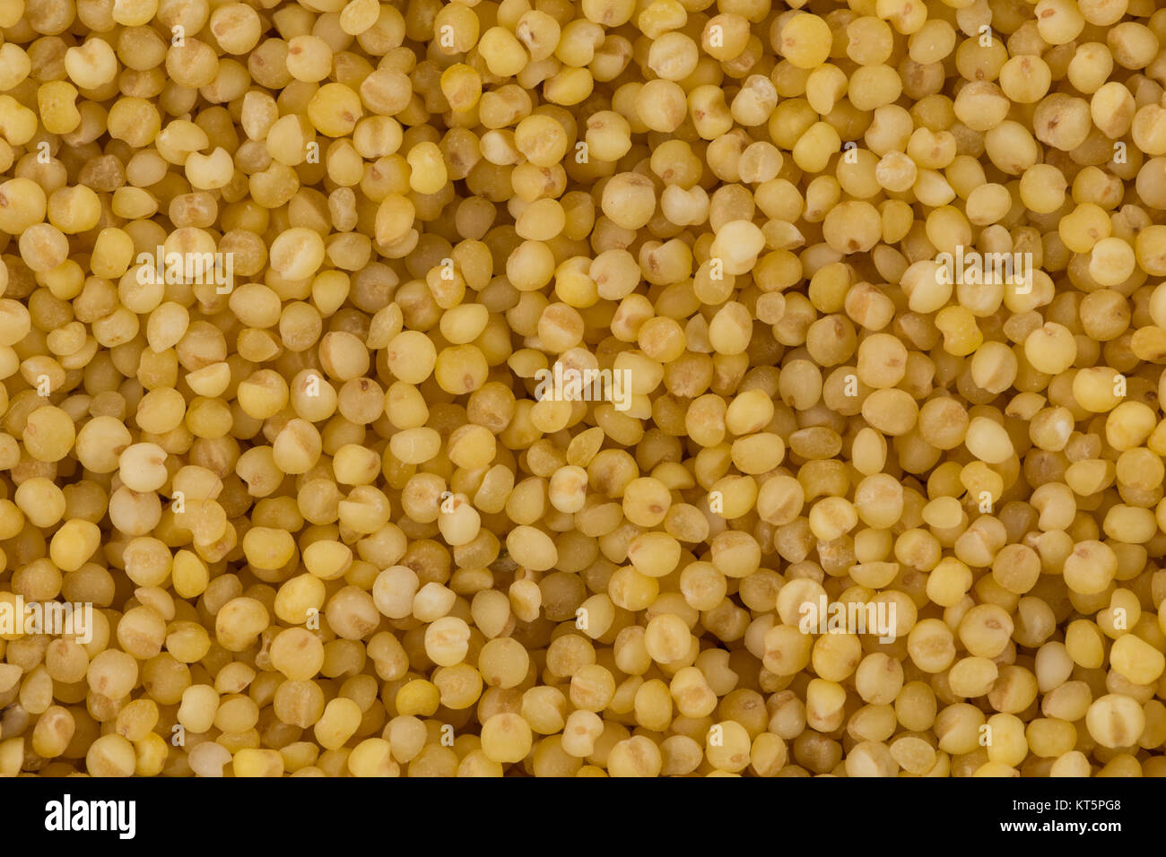 Dry millet closeup Stock Photo - Alamy