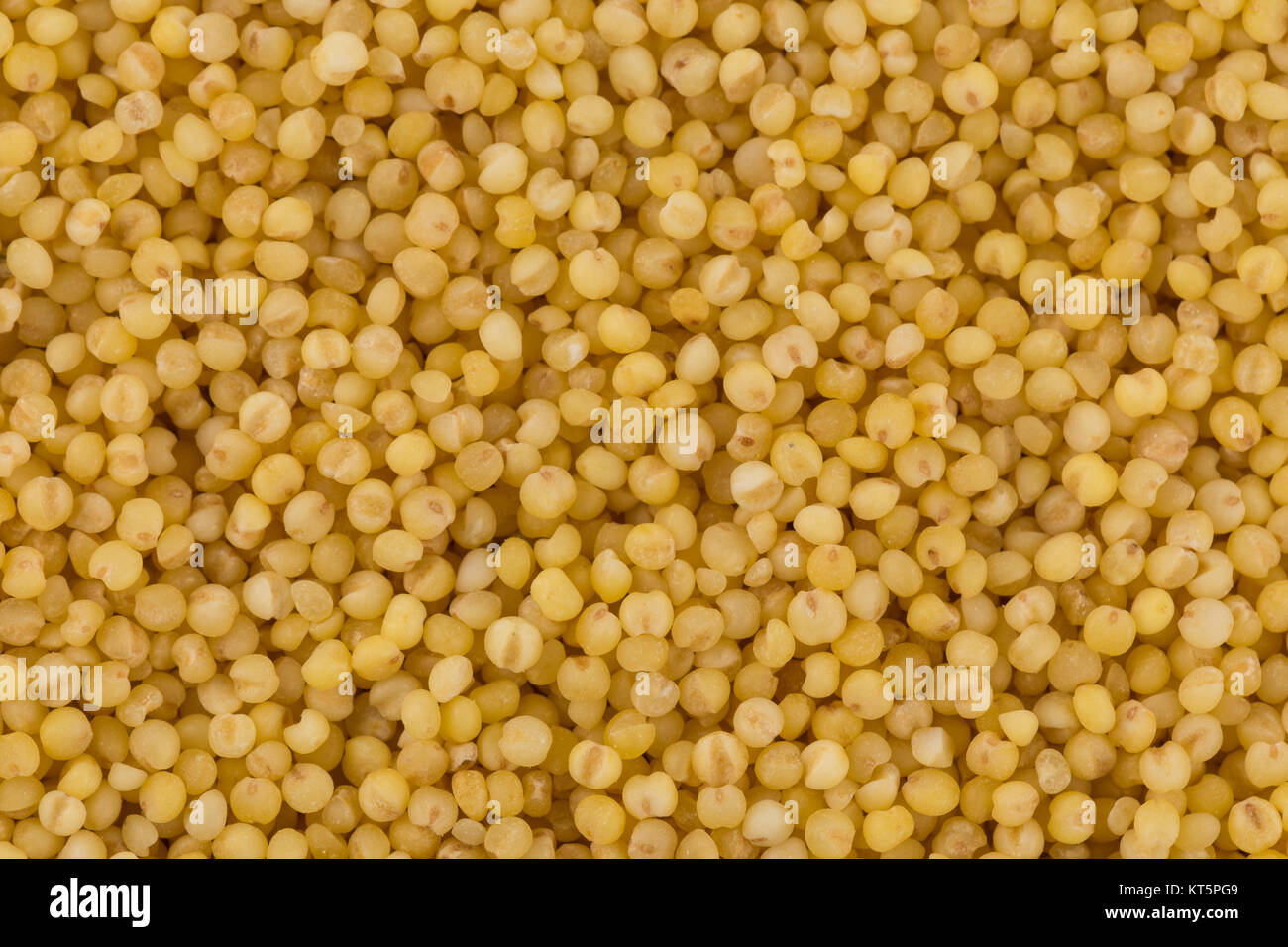 Dry millet closeup Stock Photo - Alamy