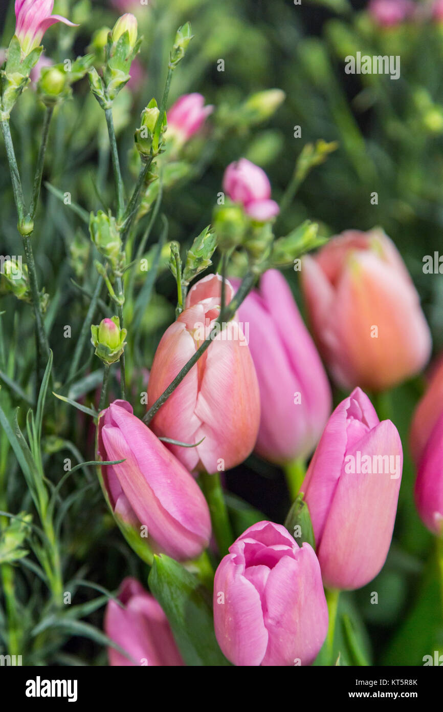 closeup a lot of flowers for bouquet Stock Photo - Alamy