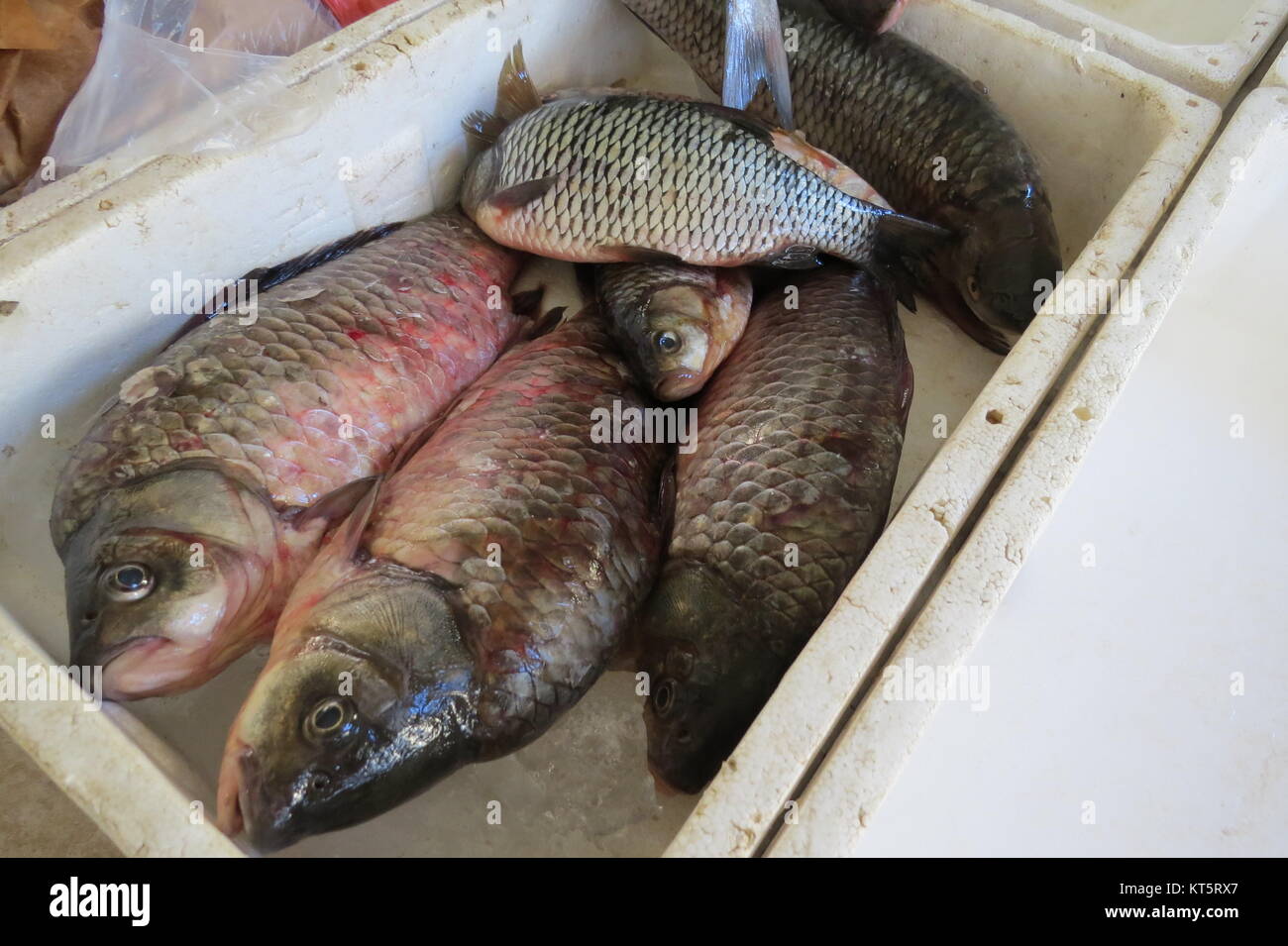 Krap hi-res stock photography and images - Alamy