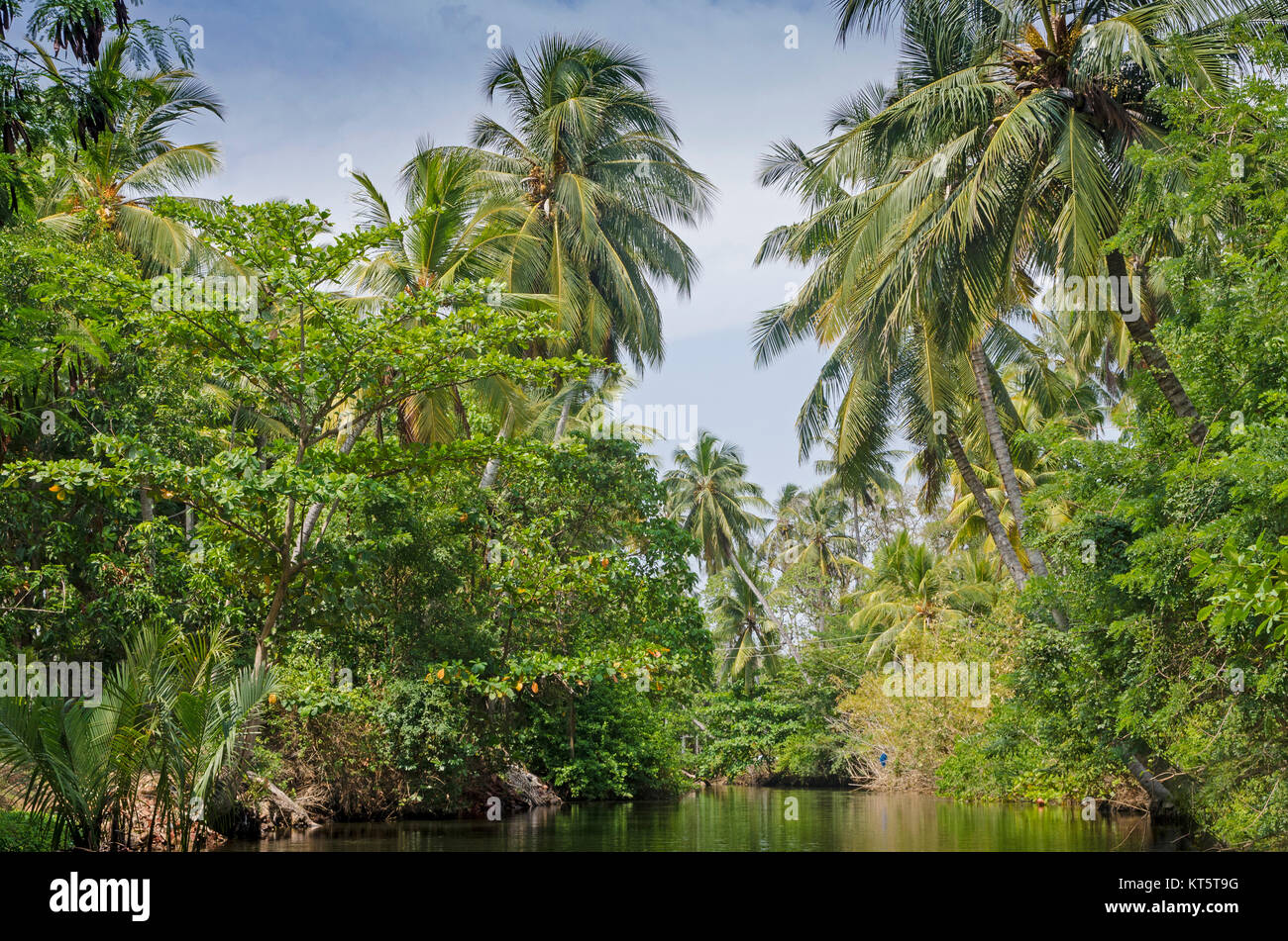 Waikkal in Sri lanka Stock Photo - Alamy