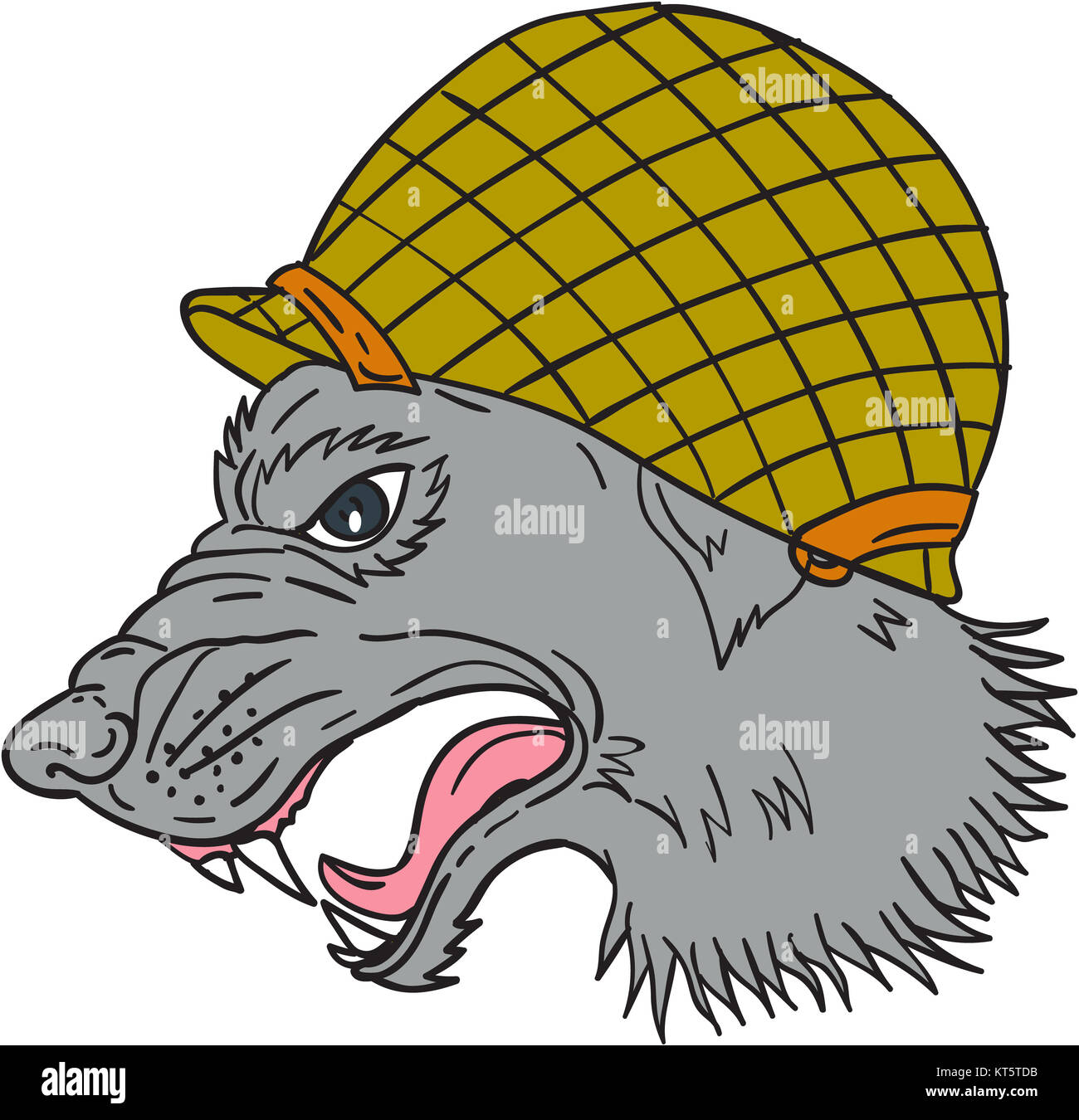 Grey Wolf Head Growling WW2 Helmet Drawing Stock Photo - Alamy
