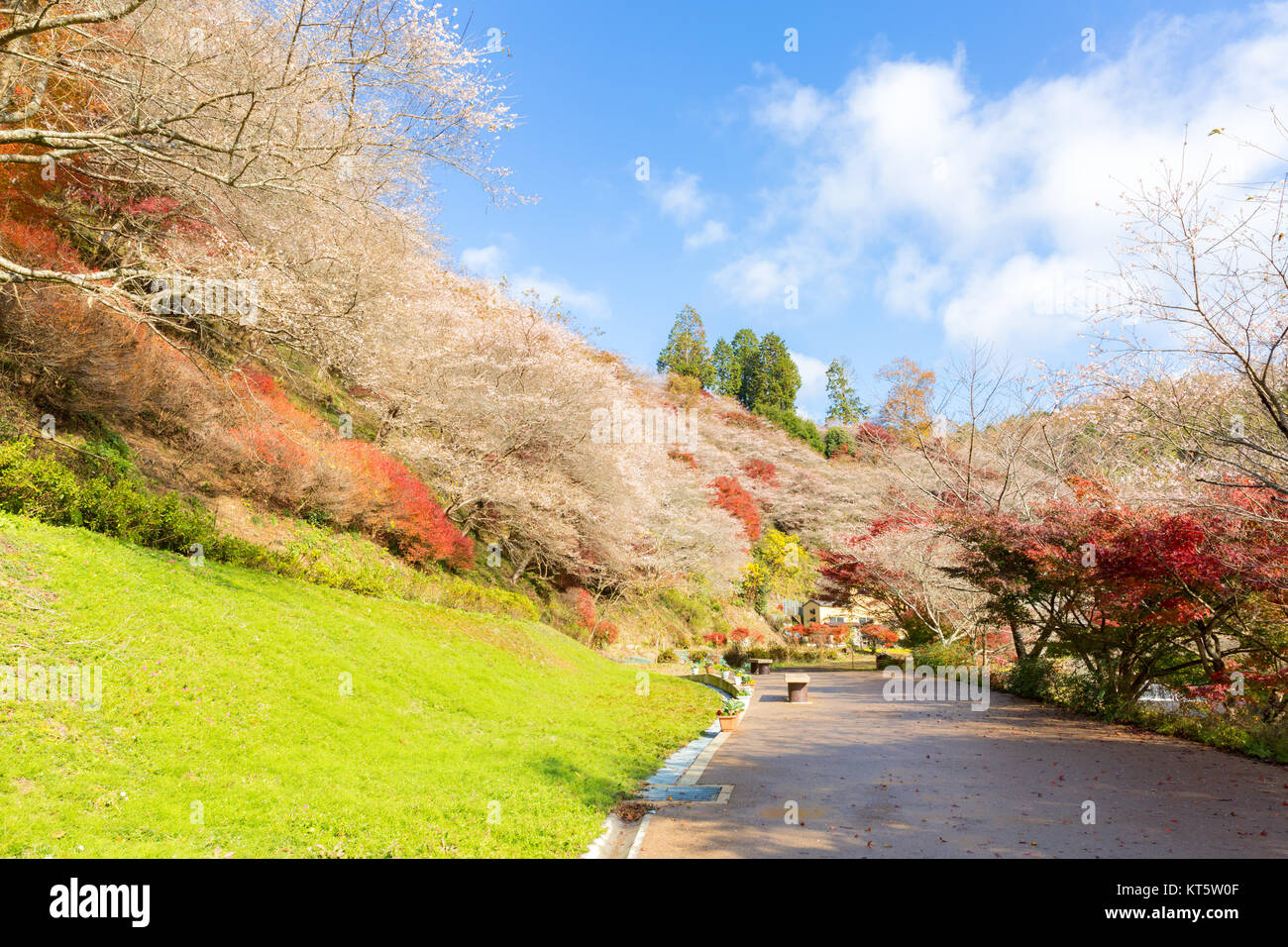 Nagoya, Obara Sakura in autumn Stock Photo - Alamy