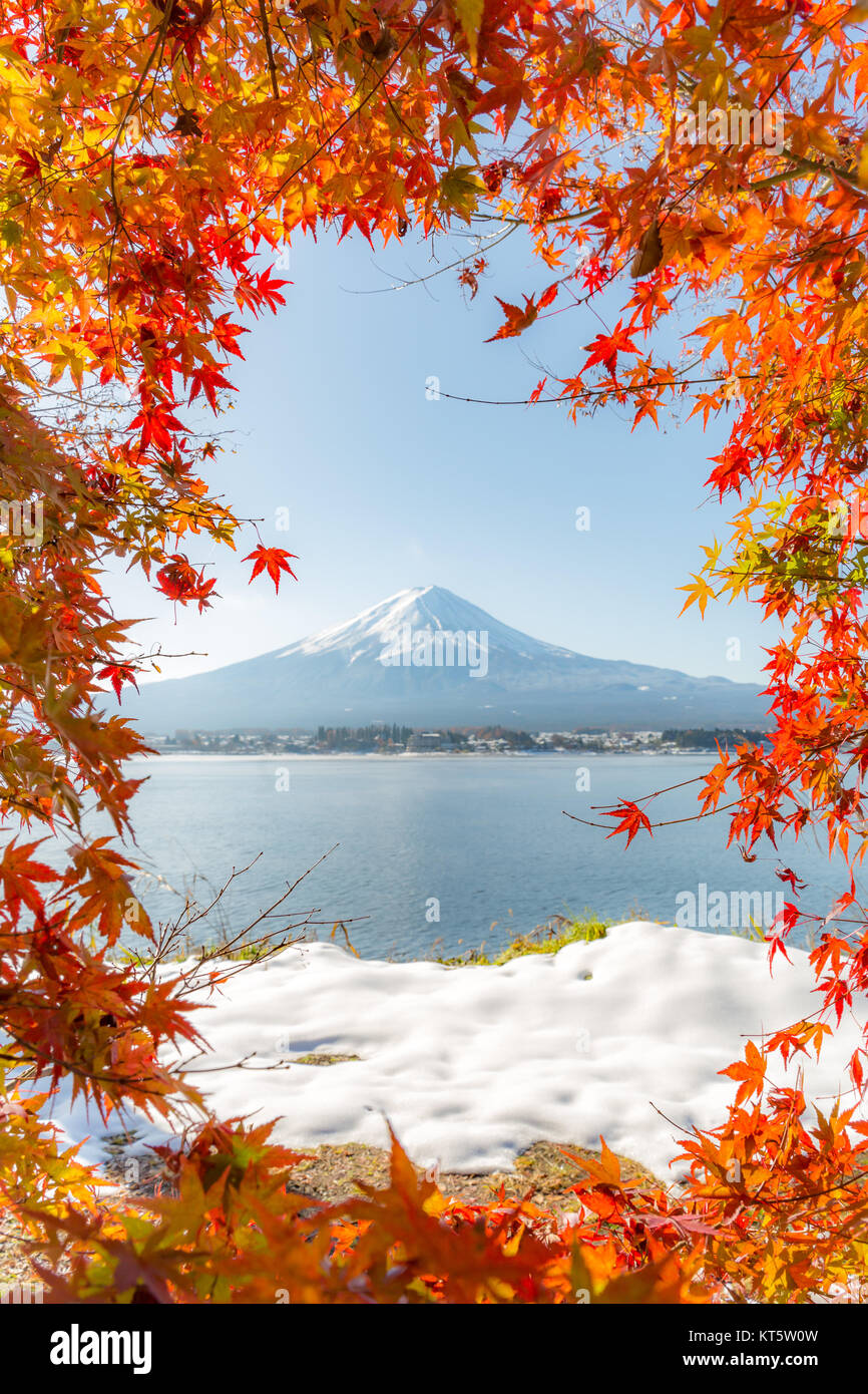 Mt. Fuji in autumn Stock Photo - Alamy