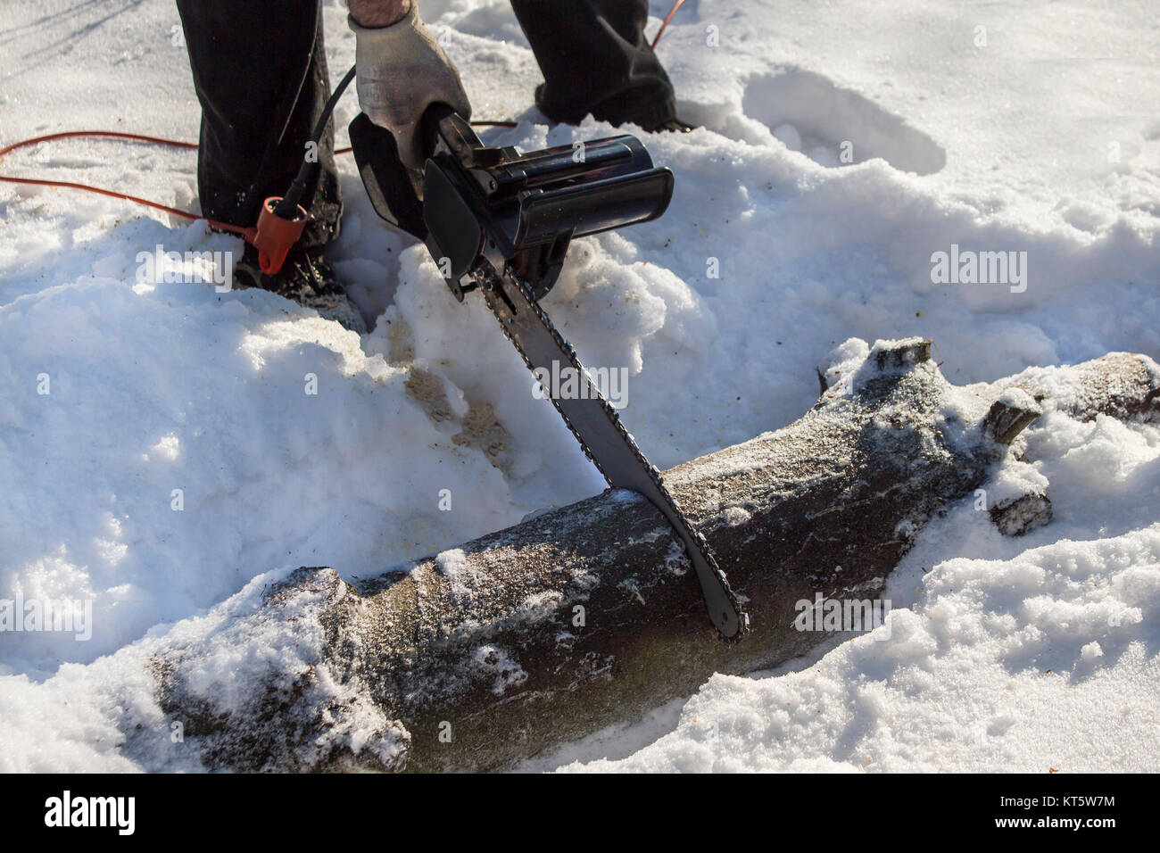 Sawing tree limb hi-res stock photography and images - Alamy