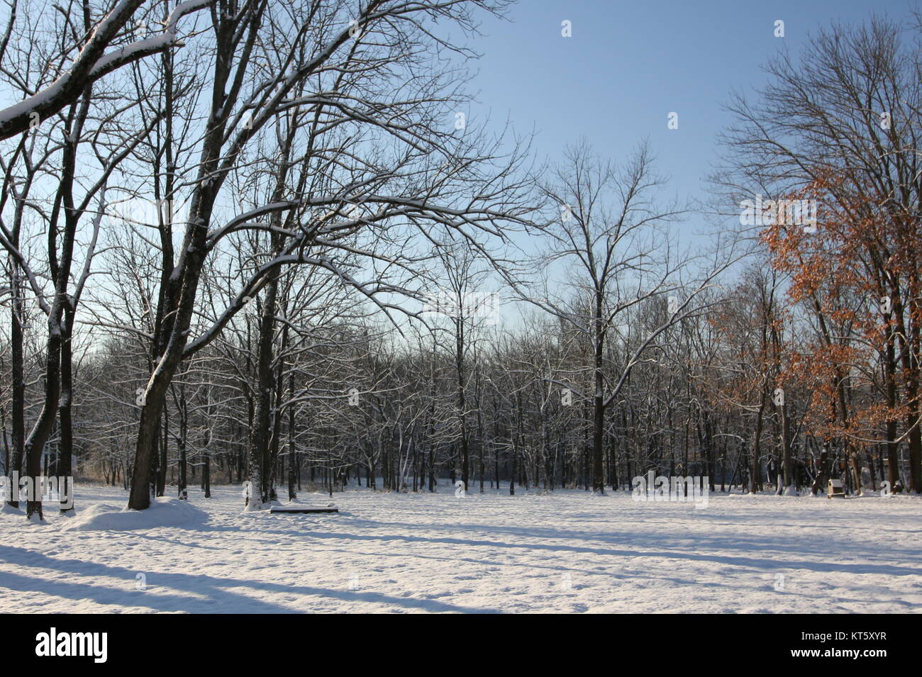 The morning snowfall followed by sunshine Stock Photo - Alamy