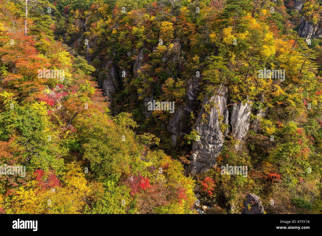 Naruko canyon in Japan Stock Photo - Alamy
