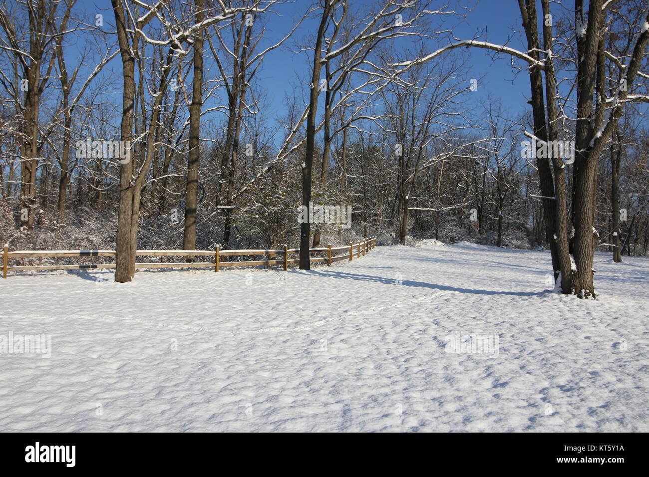 The morning snowfall followed by sunshine Stock Photo - Alamy