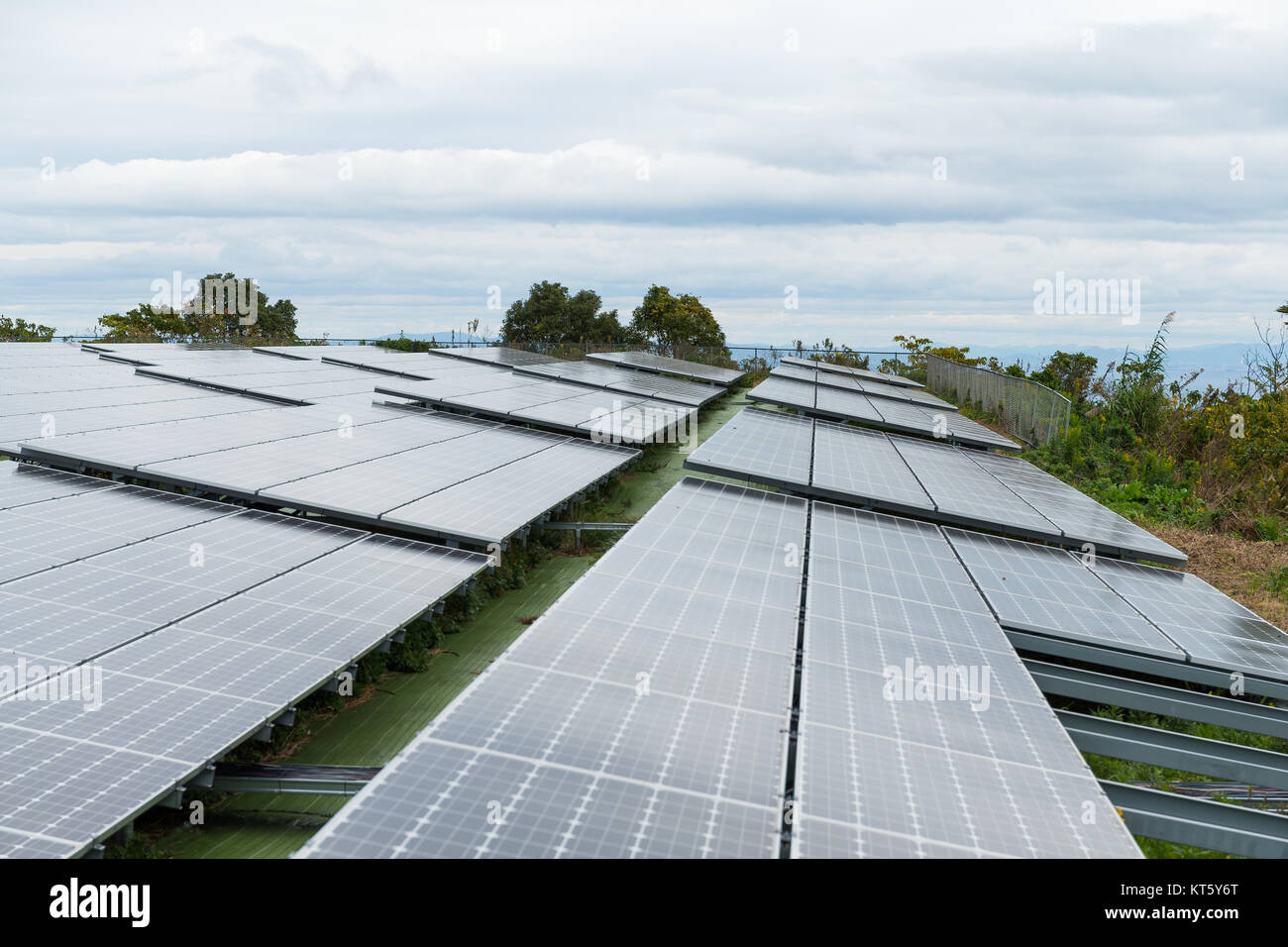 Solar panel plant Stock Photo - Alamy